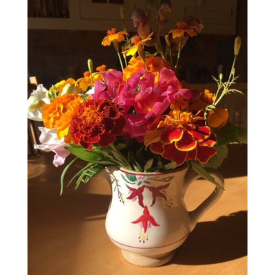 Shallow Dish Fuchsia | Handcrafted Irish Pottery | Nicholas Mosse